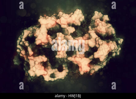 Amylase (human pancreatic alpha-amylase) Protein. 3D Illustration Stock ...