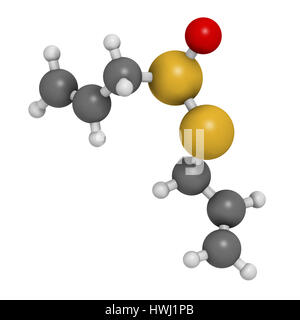 Allicin garlic molecule. Formed from alliin by the enzyme alliinase ...