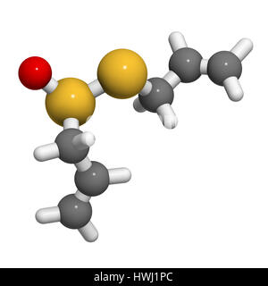 Allicin garlic molecule. Formed from alliin by the enzyme alliinase ...