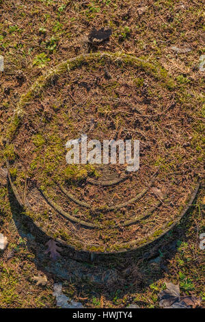 Green sphere landscape with grass and clear water Stock Photo - Alamy