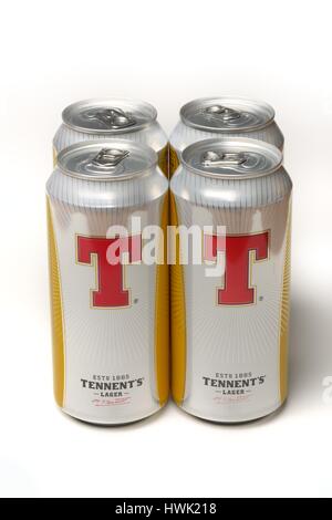 Cans of Tennents Lager Stock Photo - Alamy