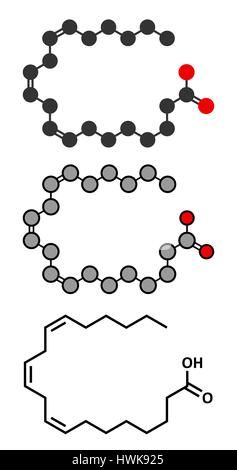 Dihomo-γ-linolenic acid (DGLA) fatty acid molecule. Omega 6-fatty Stock ...