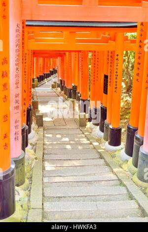 Thousand Torii corridor of Fushimi Inari-Taisha Stock Photo - Alamy