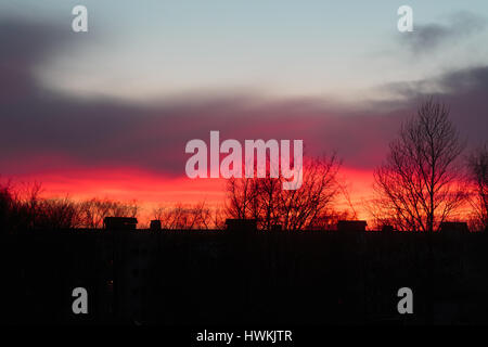 Colorful sunset on a multi-storey building and dry trees. Awesome photo ...