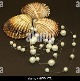 pearl shell nature jewelry scallop seashell Stock Photo - Alamy