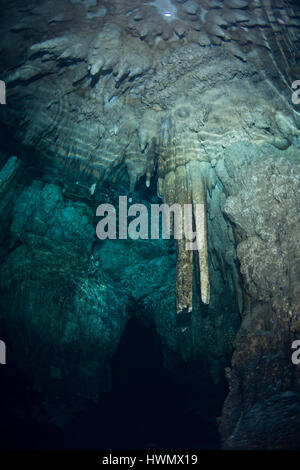 Limestone stalactites in Chandelier Cave in the islands of Palau in ...