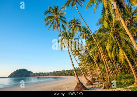 Palm beach, Ngapali Beach, Thandwe, Rakhine Coast, Bay of Bengal, Burma ...