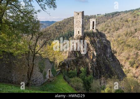 France, Aveyron, Peyrusse le Roc, step on the path of Saint Jacques de ...