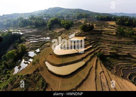 China, Yunnan State, Honghe District, Yuanyang city, Mount Ailao ...