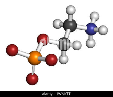 Phosphorylethanolamine (phosphoethanolamine) investigational cancer ...