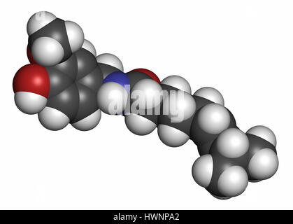Capsaicin chili pepper molecule. Used in food, drugs, pepper spray, etc ...