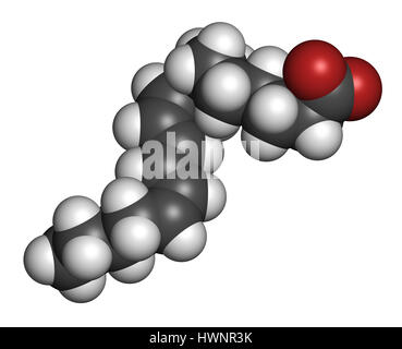Punicic acid (trichosanic acid) molecule. Fatty acid present in ...