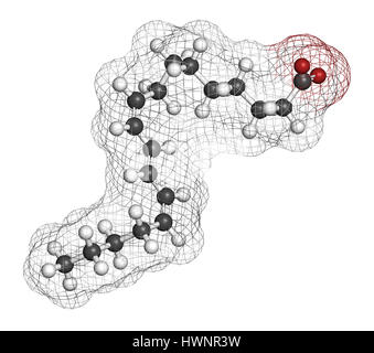 Punicic acid (trichosanic acid) molecule. Fatty acid present in ...