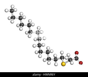 Tetradecylthioacetic acid (TTA) synthetic fatty acid molecule. Stylized ...
