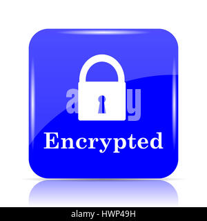 Encrypted icon. Encrypted website button on white background Stock ...