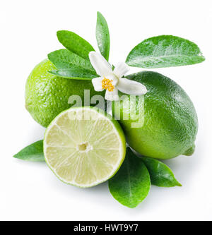 Lime fruits with green leaf and cut in half slice isolated on white background. Top view. Flat ...