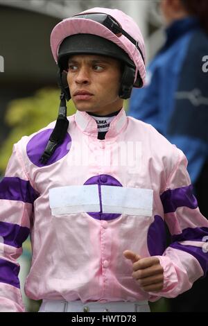 Jockey Sean Levey Stock Photo - Alamy