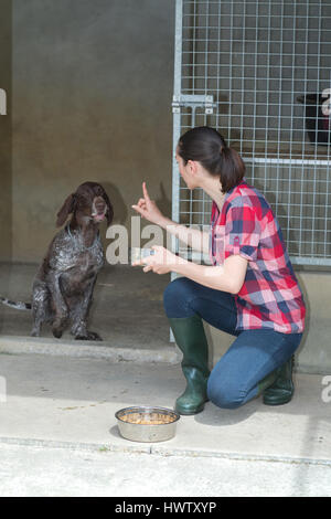 dedicated girl training dog in kennel Stock Photo - Alamy