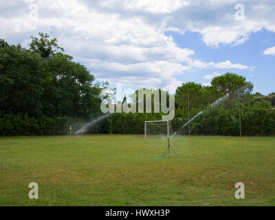 Irrigation turf. Sprinkler watering football field. System working on ...