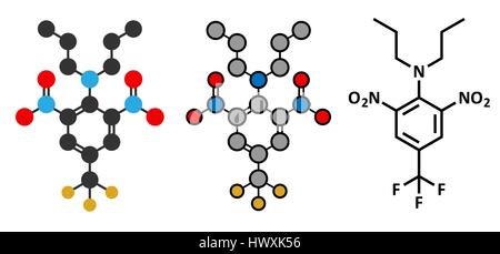 Trifluralin herbicide molecule. Skeletal formula Stock Vector Image ...