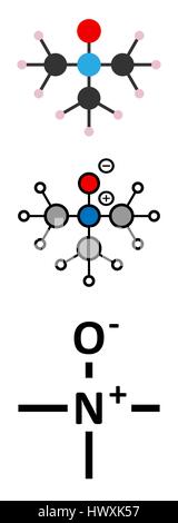 Trimethylamine N-oxide (TMAO), molecular model. Atoms are represented ...