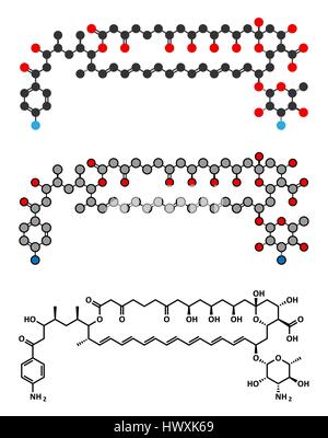 Candicidin antifungal drug molecule. Skeletal formula Stock Vector ...