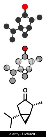 Thujone absinthe molecule, chemical structure. Skeletal formula Stock ...