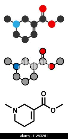 Arecoline areca nut stimulant compound, chemical structure. Skeletal ...