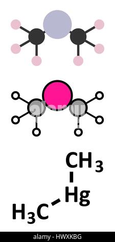 Dimethylmercury (organomercury compound), chemical structure. Skeletal ...