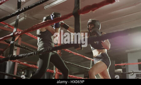 Female boxers fighting in boxing ring Stock Photo - Alamy