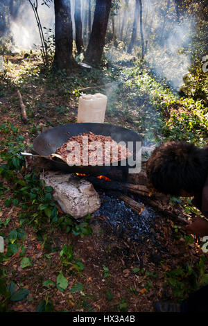Cooking meat on the fire top view, shish kebab on skewers, smoke on the ...