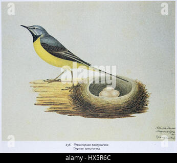 This title appears to be incomplete or written in an illegible script. The description and ...