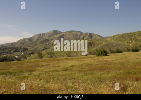 Plain open grassy open field Stock Photo - Alamy