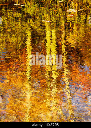 Rippling reflection in a serene pond with overlapping circular patterns ...