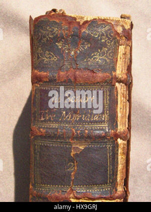 Tre Meridiani Spine Stock Photo - Alamy