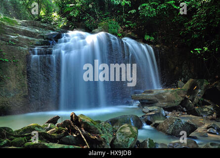 Kionsom Waterfall in Tropical Rainforest. Kota KInabalu Sabah Stock ...