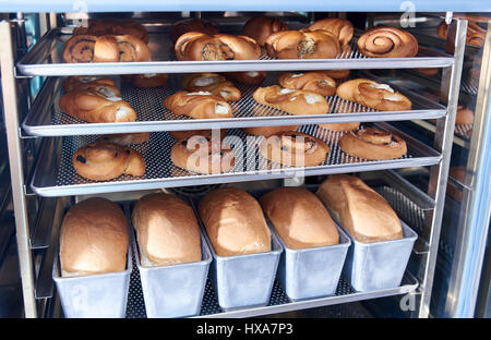 Dessert bread baking in Combi steamer. Production oven at the bakery ...