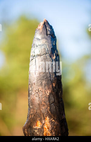 old dry burned wooden planks with shadows from sun Stock Photo - Alamy