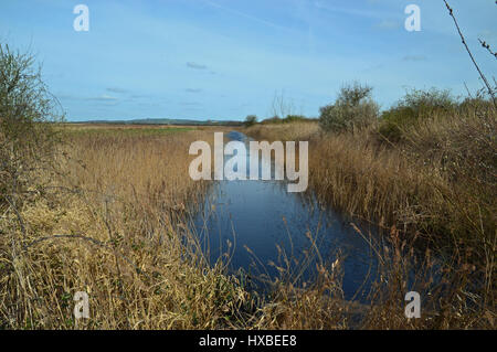 "Bird hide", RSPB Otmoor Nature Reserve, Oxfordshire, England, UK Stock ...