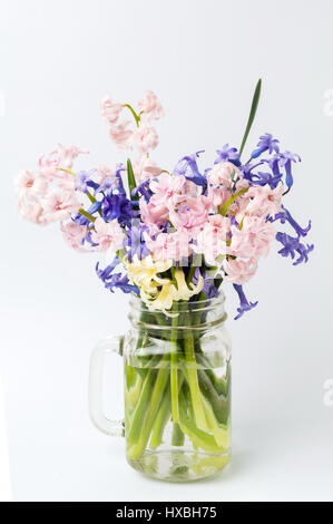 Different hyacinth flowers in a glass jar Stock Photo - Alamy