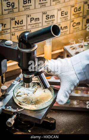 Chemical laboratory during the mold test Stock Photo - Alamy