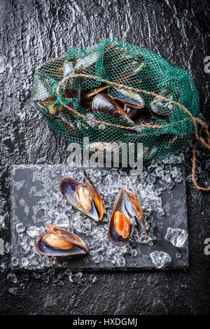 Mussels and Oysters at the Rock Shellfish, on the seashore at Rock in ...