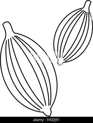 Cardamom icon, outline style Stock Vector Image & Art - Alamy
