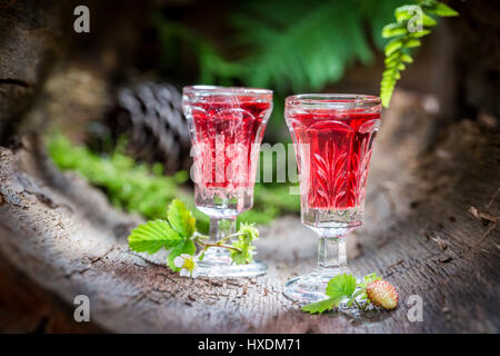 Homemade liqueur with wild strawberry and alcohol Stock Photo - Alamy