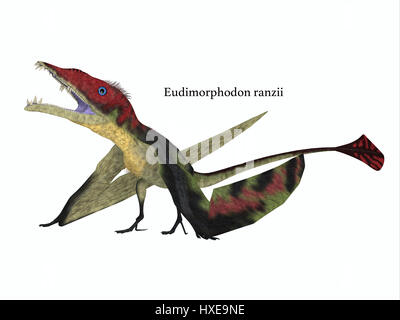 The carnivorous Eudimorphodon was a pterosaur flying reptile that lived ...