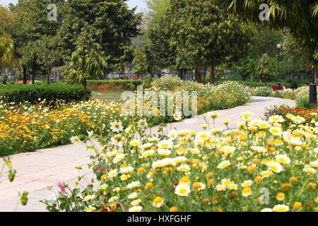 Japanese Park, Rohini, New Delhi during the spring season Stock Photo ...