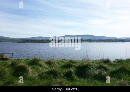 Ireland, Co Wicklow, Wicklow mountains, Blessington Lakes, reservoir ...