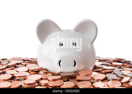 Piggy bank placed up to its nose in a pile of dollars Stock Photo - Alamy