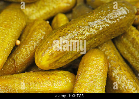 Pickles as background. Green pickle texture pattern. Pickled cucumber ...