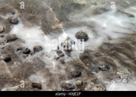 Xinjiang, China. 28th Mar, 2017. Lop Nur is a former salt lake in China ...